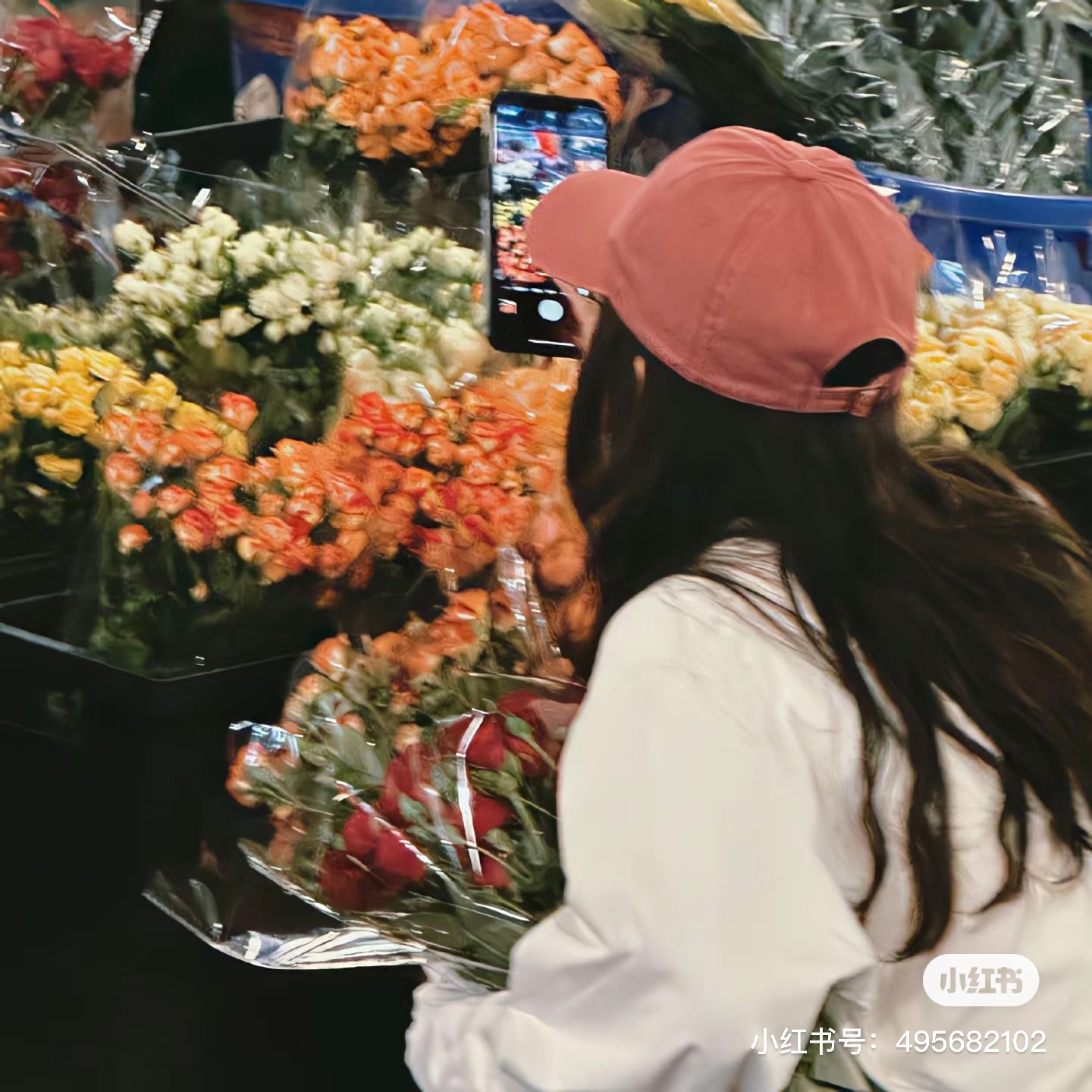 About me | Qingning Shen's Homepage